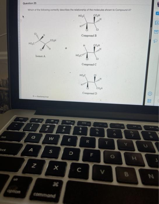 Solved Question 25 Which of the following correctly | Chegg.com