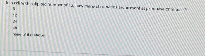 Solved In a cell with a diploid number of 12, how many | Chegg.com