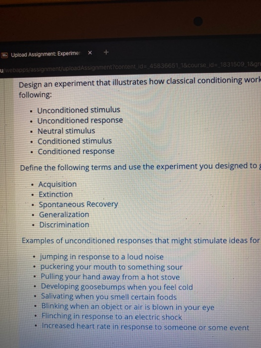 Solved Upload Assignment: Experimen X + | Chegg.com