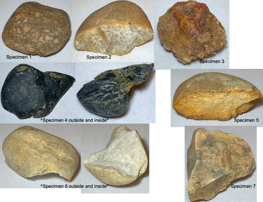 Solved I need to identify these rocks with Lithological | Chegg.com
