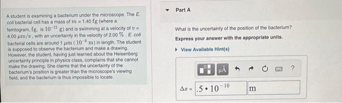 Solved A student is examining a bacterium under the | Chegg.com