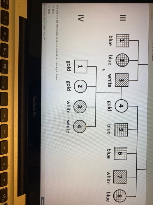 Solved The pedigree below shows the inheritance of fur color | Chegg.com