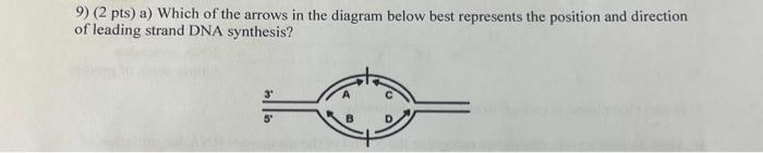 Solved 9) (2 pts) a) Which of the arrows in the diagram | Chegg.com