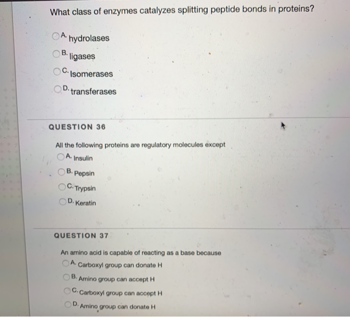 Solved What class of enzymes catalyzes splitting peptide | Chegg.com