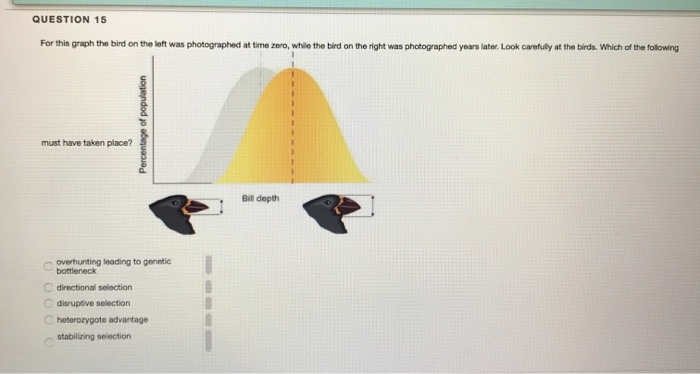 Solved QUESTION 15 For this graph the bird on the left was | Chegg.com