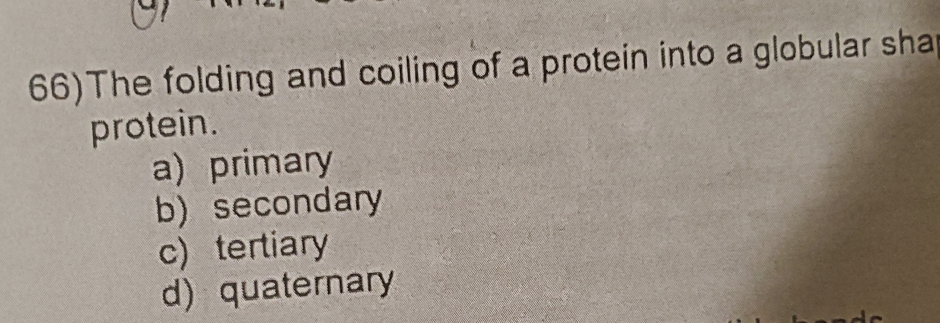 Solved The folding and coiling of a protein into a globular | Chegg.com