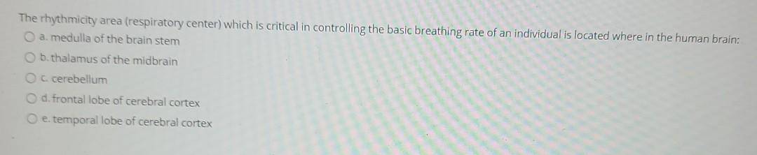 Solved The function of both the apneustic and pneumotaxic | Chegg.com