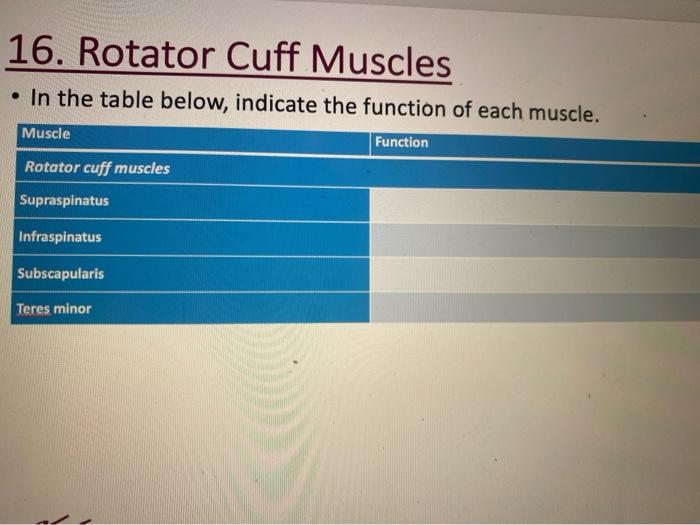 Solved 16. Rotator Cuff Muscles . In the table below, | Chegg.com