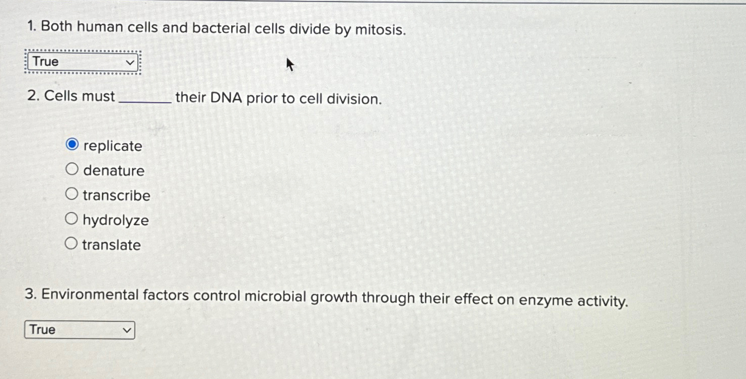Solved Both human cells and bacterial cells divide by | Chegg.com