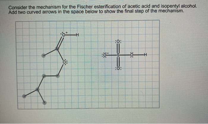 Solved Consider the mechanism for the Fischer esterification | Chegg.com