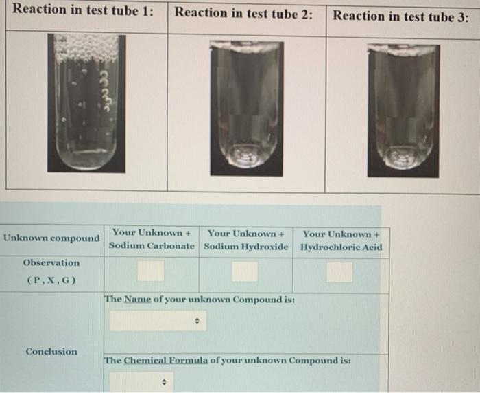 Solved Reaction in test tube 1: Reaction in test tube 2: | Chegg.com