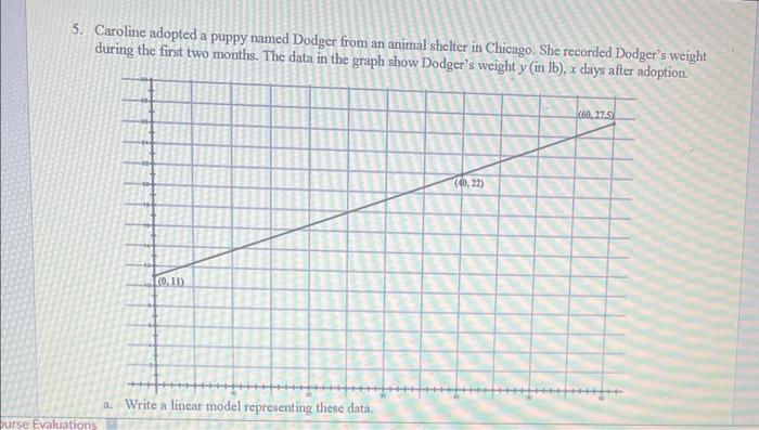 Solved 5. Caroline adopted a puppy named Dodger from an | Chegg.com