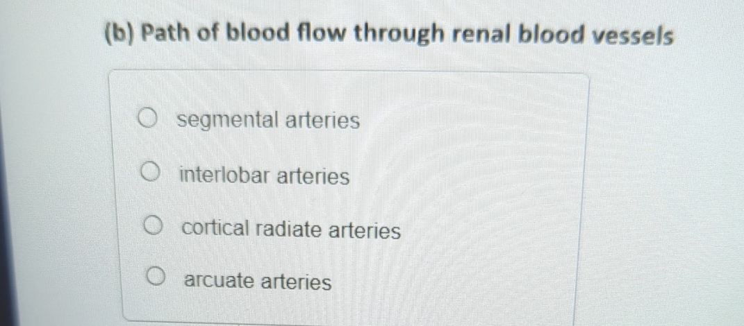 Solved (b) ﻿Path of blood flow through renal blood | Chegg.com