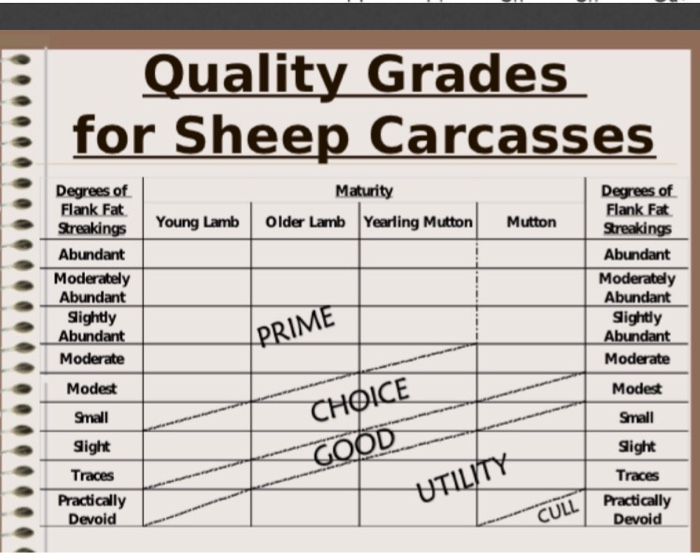 Matching: Use the following quality grades for beef | Chegg.com