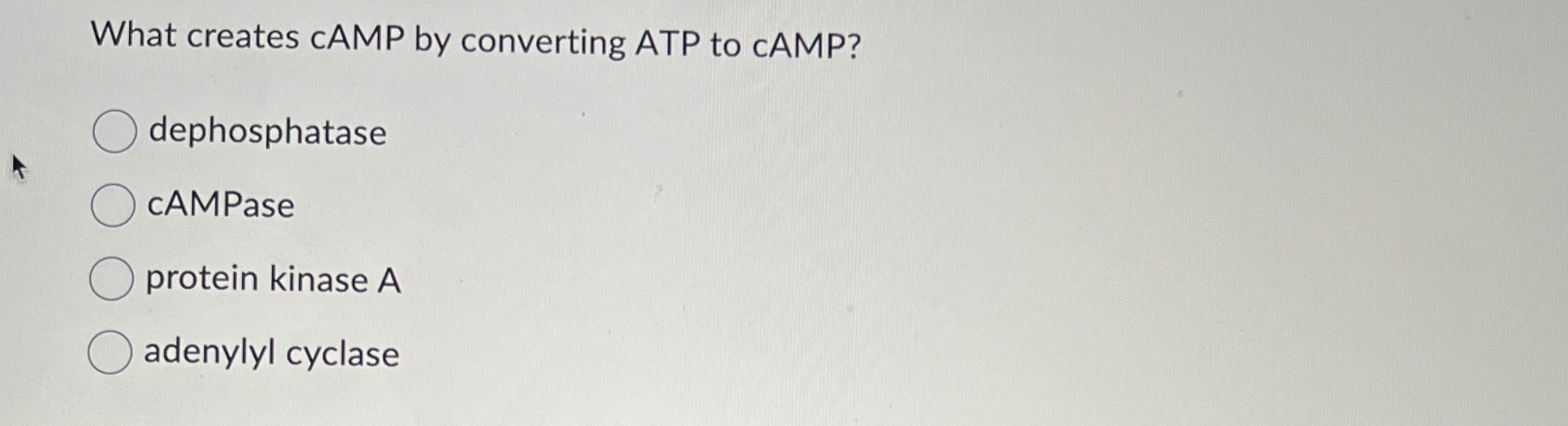 Solved What creates cAMP by converting ATP to | Chegg.com