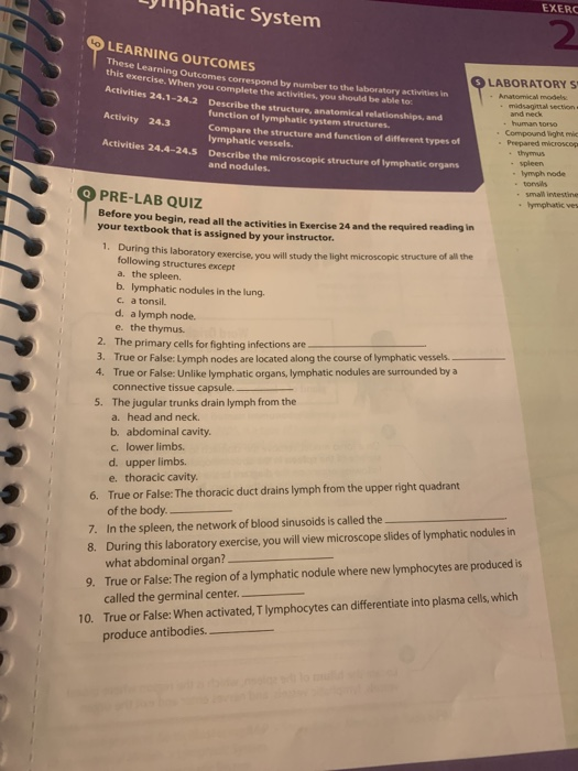 Solved Lymphatic System EXERC LEARNING OUTCOMES LABORATORY S | Chegg.com