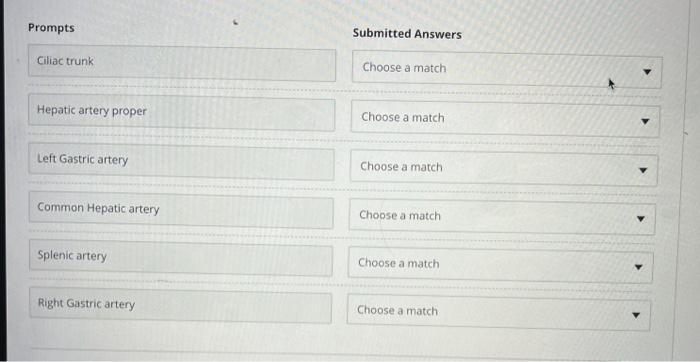 Solved Prompts Submitted Answers Ciliac trunk Choose a | Chegg.com