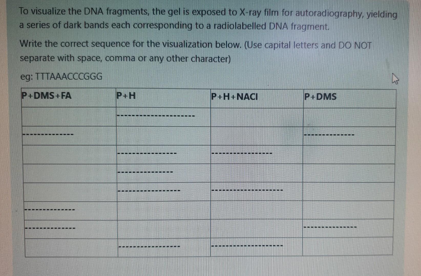 To visualize the DNA fragments, the gel is exposed to | Chegg.com