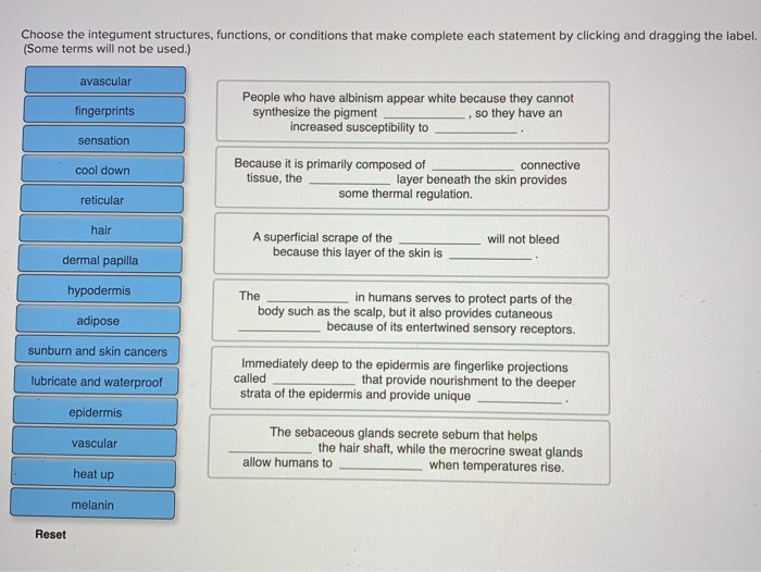 Solved Choose the integument structures, functions, or | Chegg.com