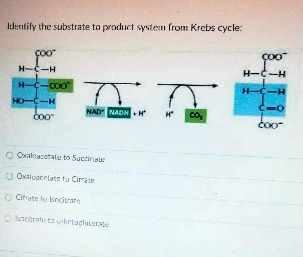 Solved Identify the substrate to product system from Krebs | Chegg.com