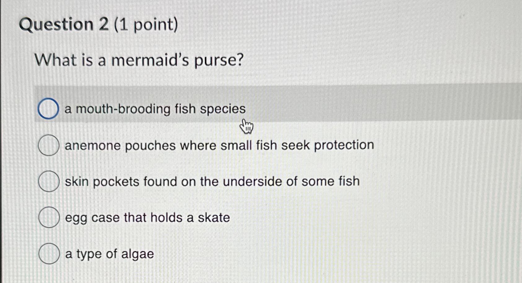 Solved Question 2 (1 ﻿point)What is a mermaid's purse?a | Chegg.com