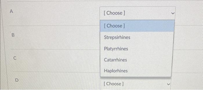Use the chart to match the correct group of primates | Chegg.com