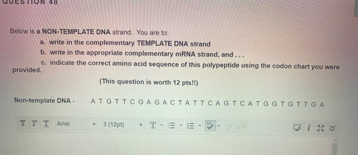 Solved QUESTION 48 Below is a NON-TEMPLATE DNA strand. You | Chegg.com