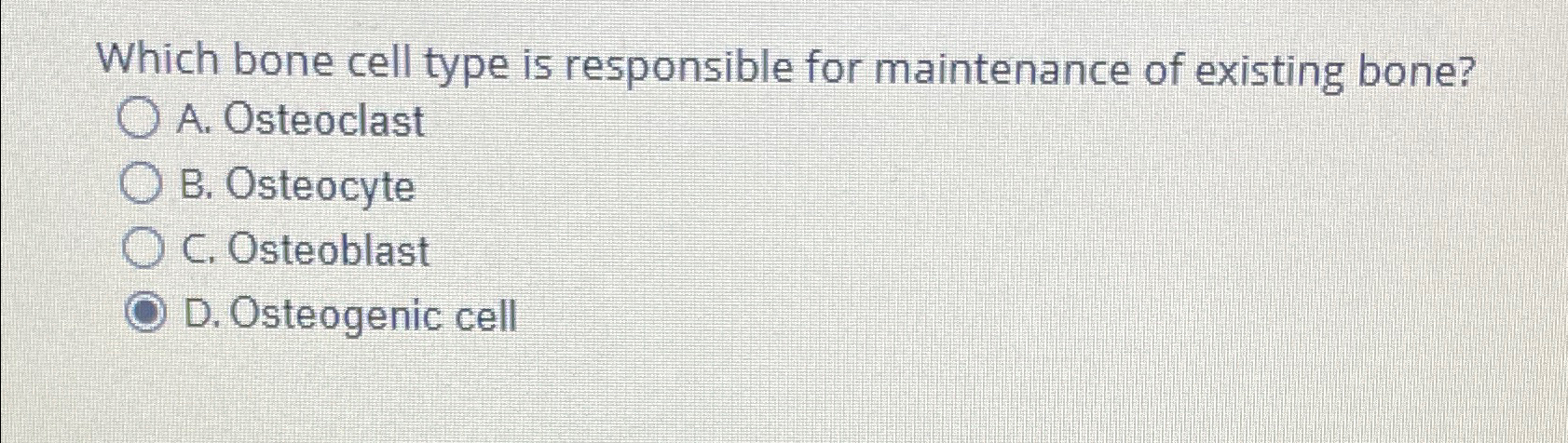 Solved Which bone cell type is responsible for maintenance | Chegg.com