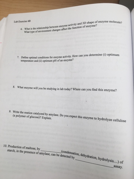 Solved Lab Exercise 4B of enzyme molecule? 6. What is the | Chegg.com