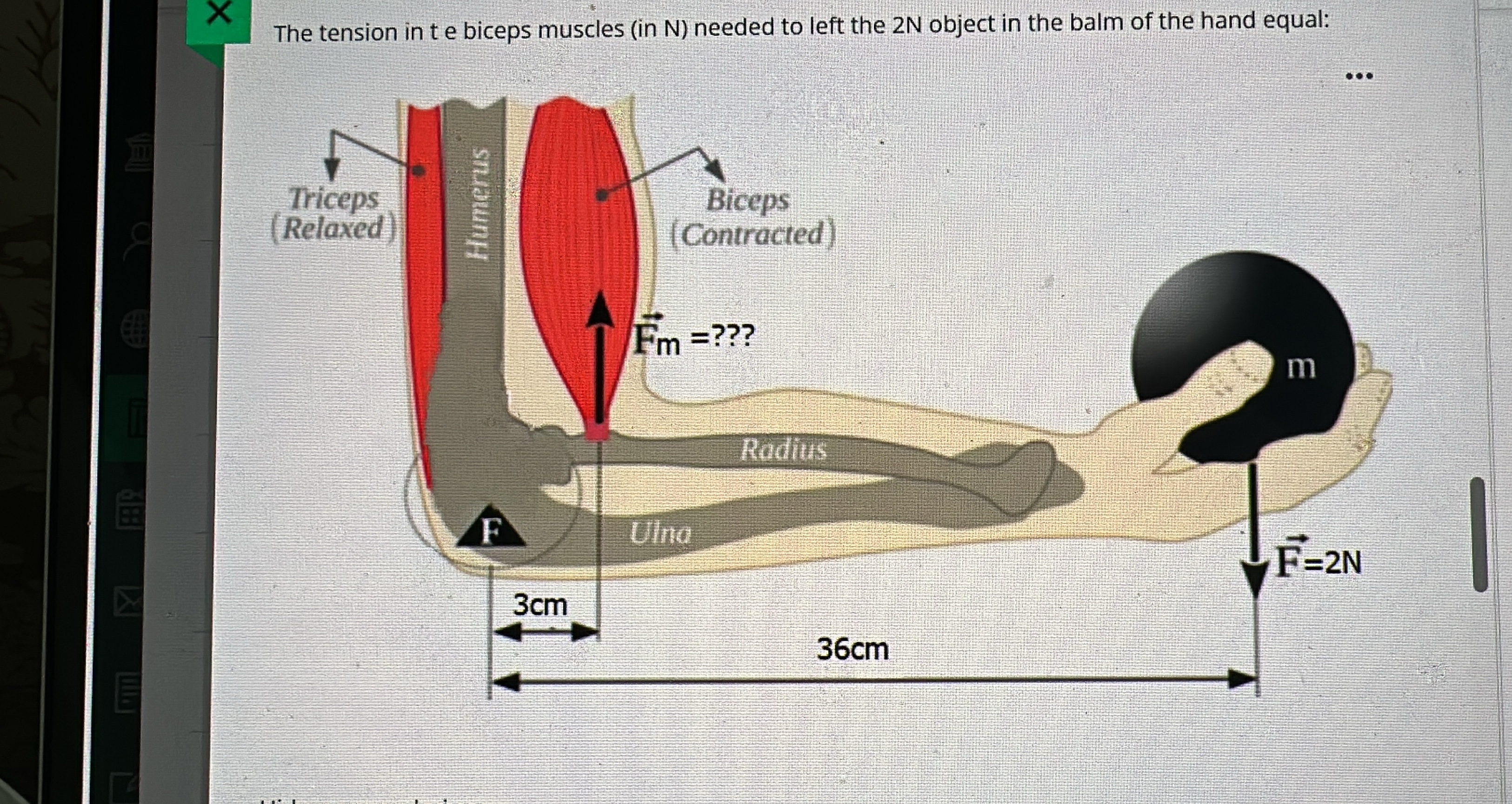 Solved The tension in t ﻿e biceps muscles (in N ) ﻿needed to | Chegg.com