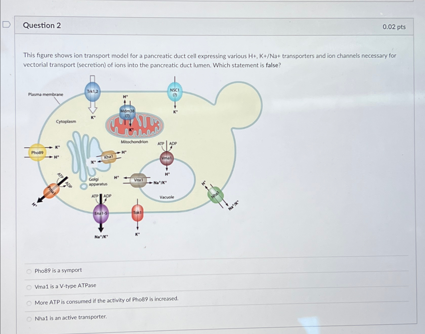 Solved Question 20.02 ﻿ptsThis figure shows ion transport | Chegg.com