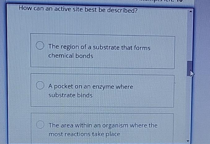 Solved How can an active site best be described?The region | Chegg.com