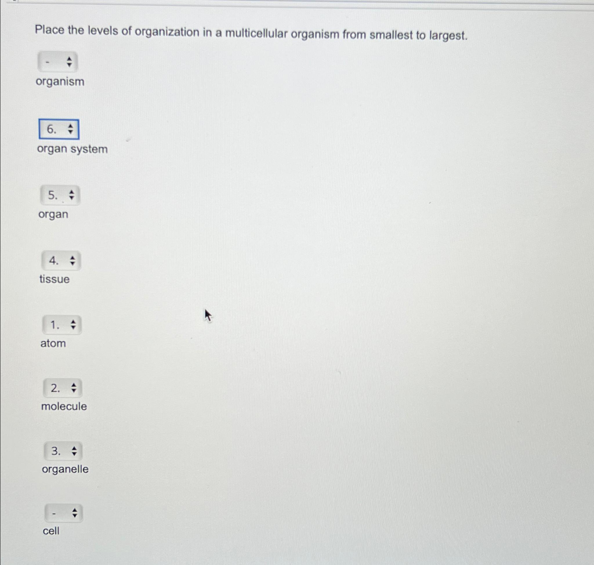 Solved Place the levels of organization in a multicellular | Chegg.com
