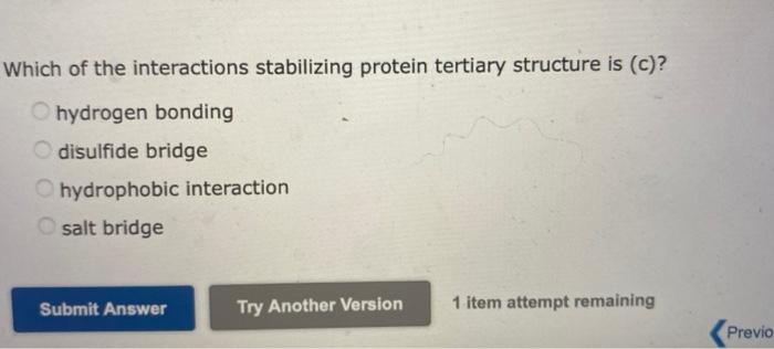 Solved Which of the interactions stabilizing protein | Chegg.com