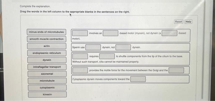 Solved Complete the explanation. Drag the words in the left | Chegg.com