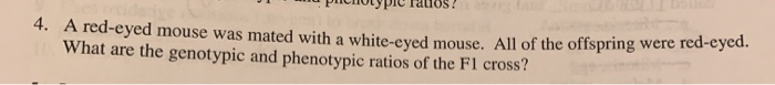 Solved a picolypic Tacos? 4. A red-eyed mouse was mated with | Chegg.com
