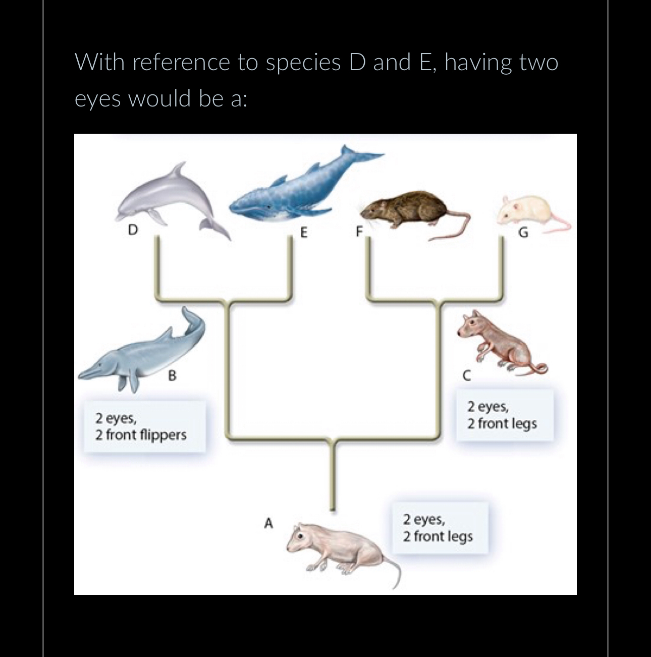 Solved With reference to species D and E, ﻿having two eyes | Chegg.com