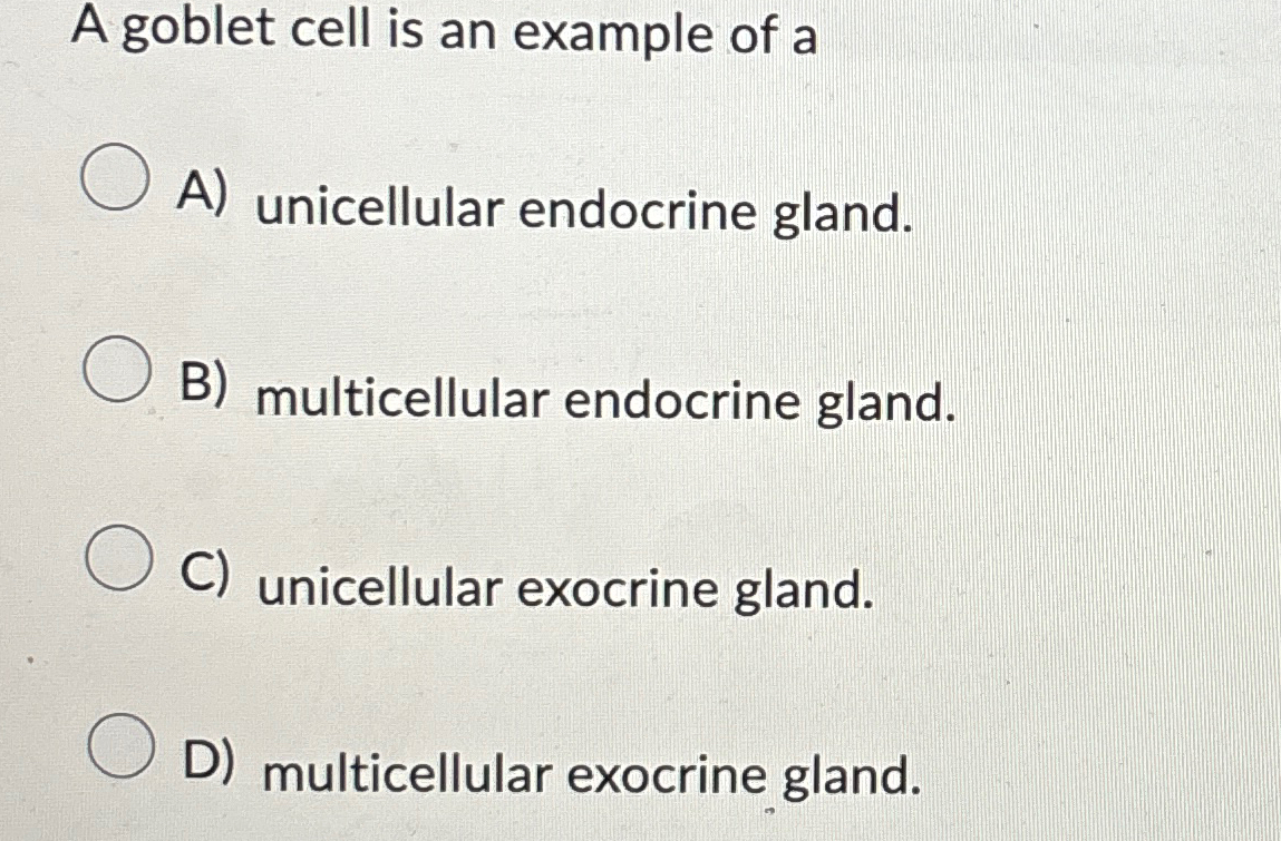 Solved A goblet cell is an example of aA) ﻿unicellular | Chegg.com