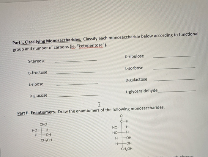 Solved Part I. Classifying Monosaccharides. Classify each | Chegg.com