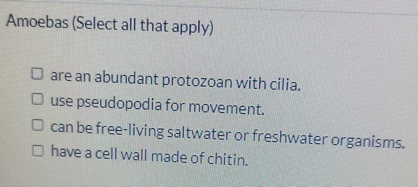 Solved Amoebas (Select all that apply) D are an abundant | Chegg.com