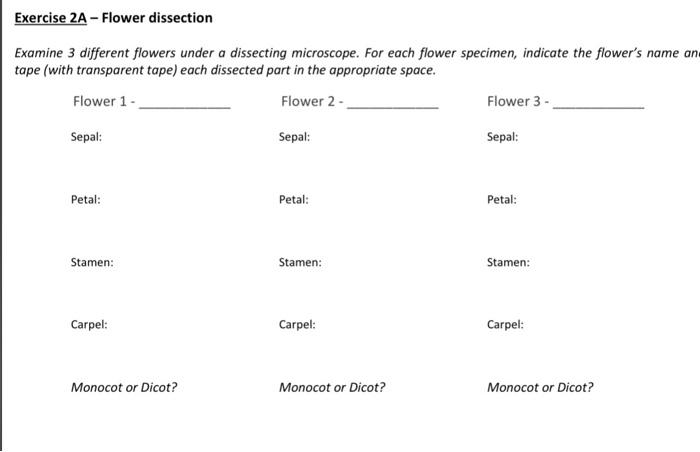 Exercise 2A - Flower dissection Examine 3 different | Chegg.com