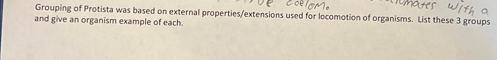 Solved Grouping of Protista was based on external | Chegg.com