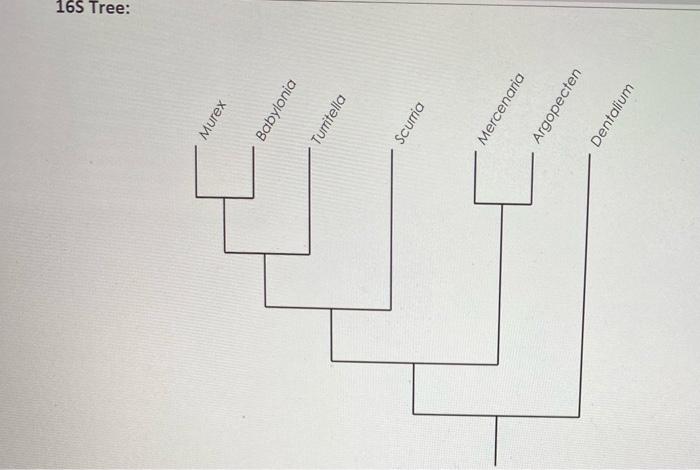 Solved 1. What system of classification did Linnaeus | Chegg.com