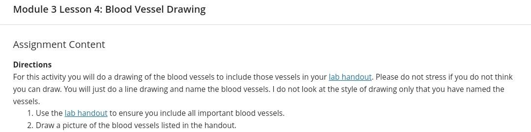Solved Assignment Content Directions For this activity you | Chegg.com