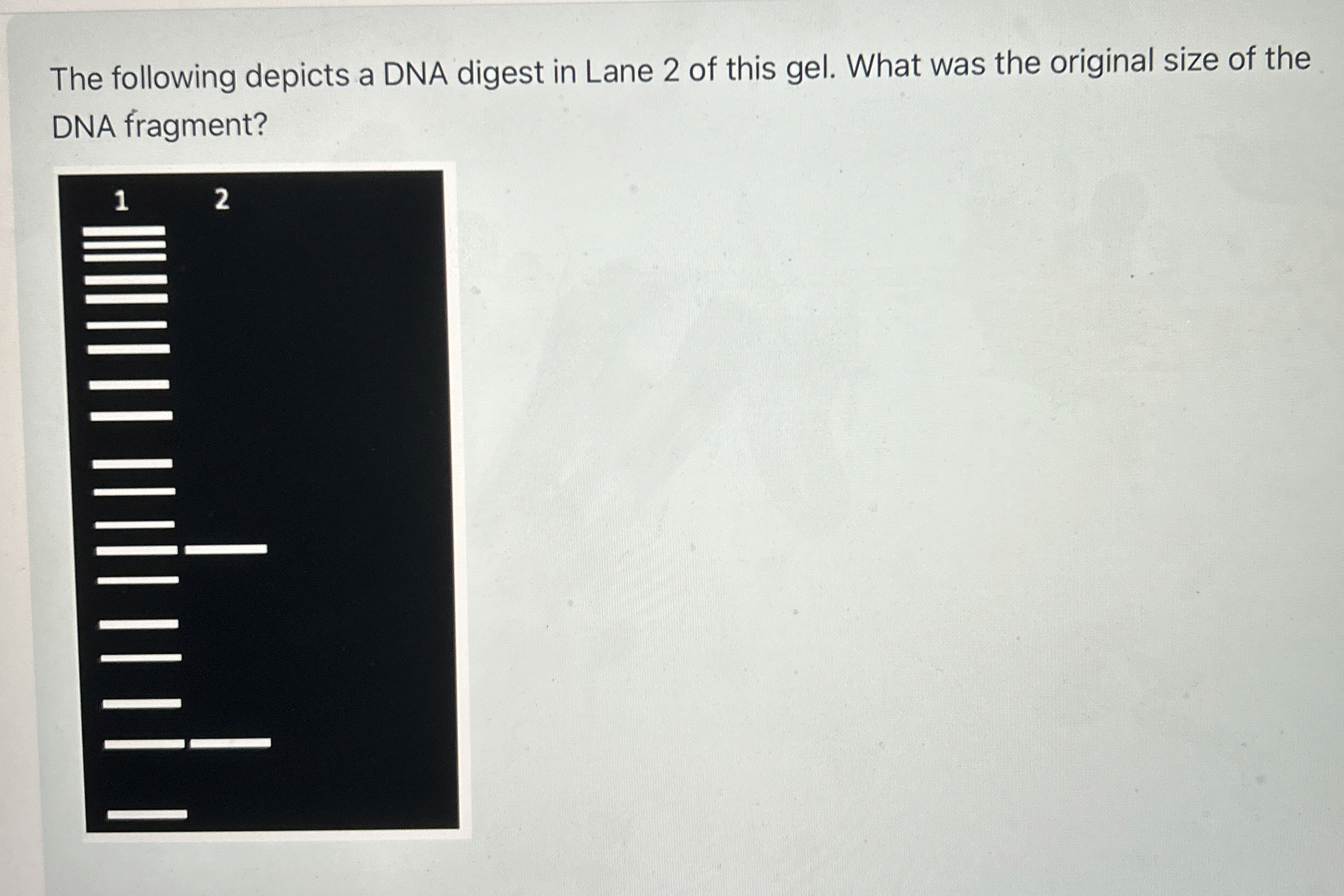 Solved The following depicts a DNA digest in Lane 2 ﻿of this | Chegg.com