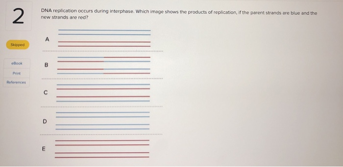 Solved 2 DNA replication occurs during interphase. Which | Chegg.com
