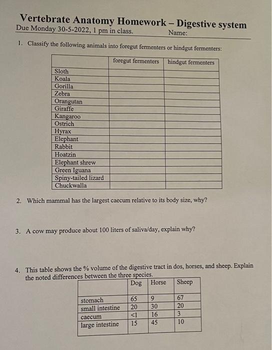 Solved Vertebrate Anatomy Homework - Digestive system Due | Chegg.com