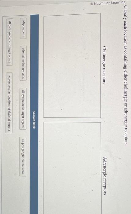 Solved Classify each location as containing either | Chegg.com