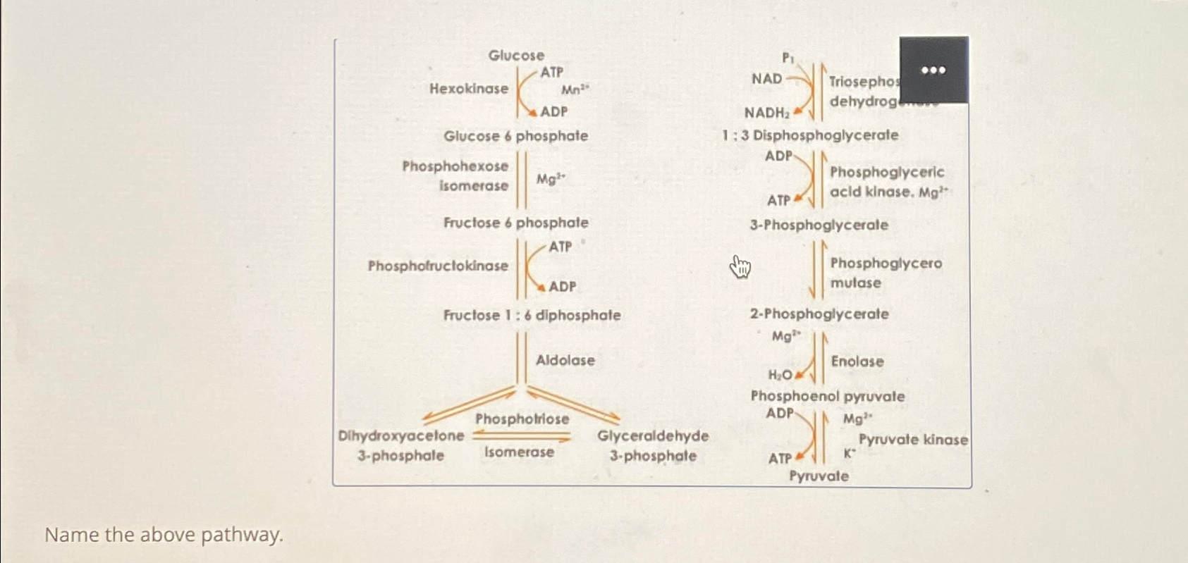 Solved Name the above pathway. | Chegg.com