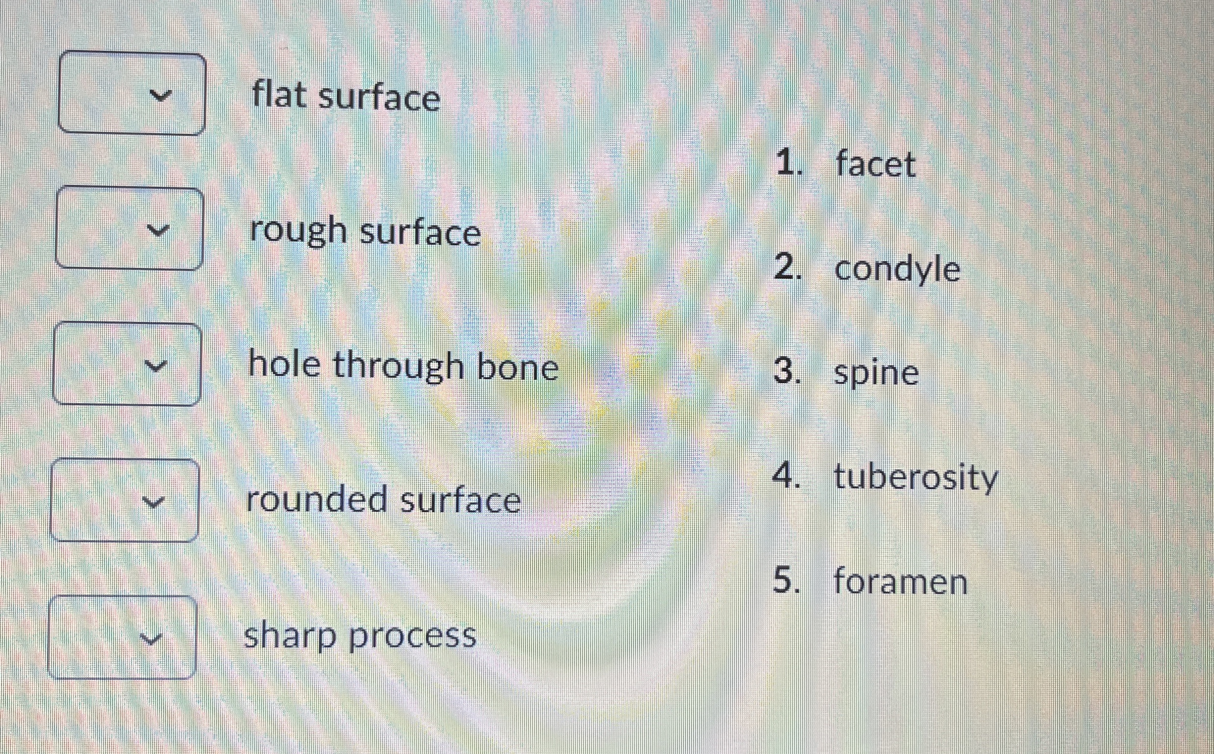 Solved flat surfacerough surfacehole through bonerounded | Chegg.com